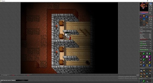 Tibia Tibiantis 53 RP FULL EQ OKAZJA | Knurów | Kup teraz na Allegro ...