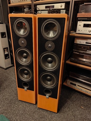 CANTON Ergo RCL + Controler RC1 HiEND | Konstantynów Łódzki | Kup teraz ...