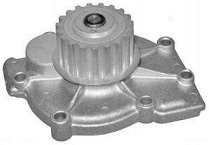 R199 PUMP WATER DOLZ R199