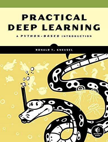 PRACTICAL DEEP LEARNING WITH PYTHON: A HANDS-ON INTRODUCTION: A PYTHON-BASE (18230201148 ...
